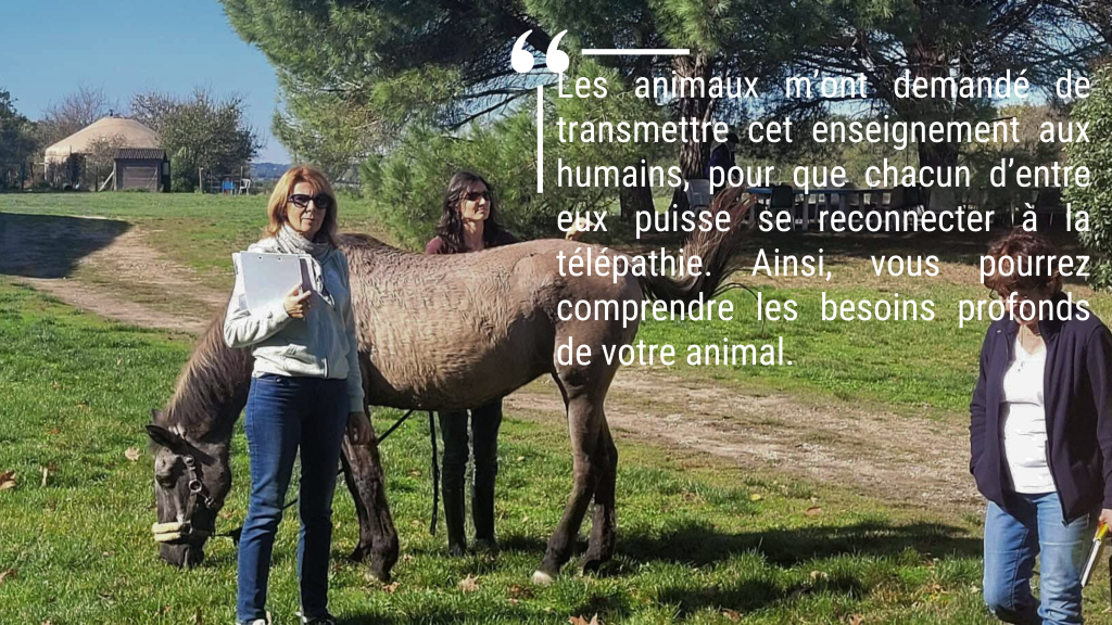 Comment se déroulent les stages d'initiation à la Communication Animale à l'école "La Goutte d ...